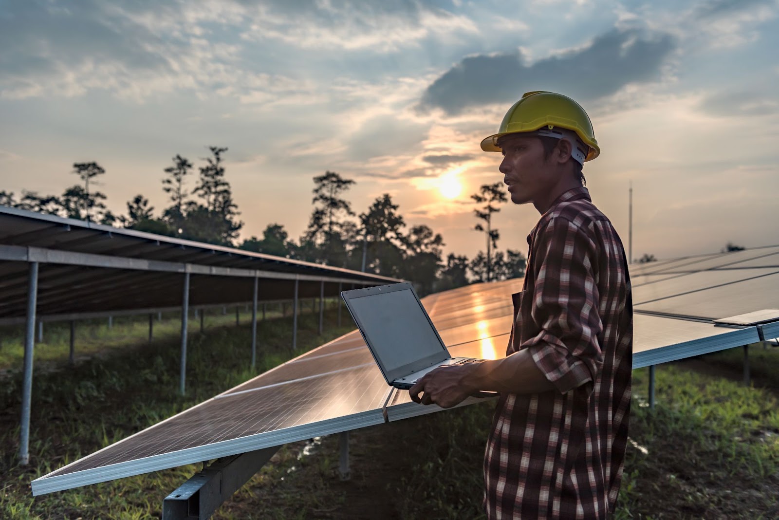 Solar Energy Installation Process Explained: How to Set Up a Solar Farm ...